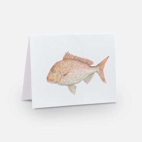 "Snapper" cards – Em Sherlock Artwork